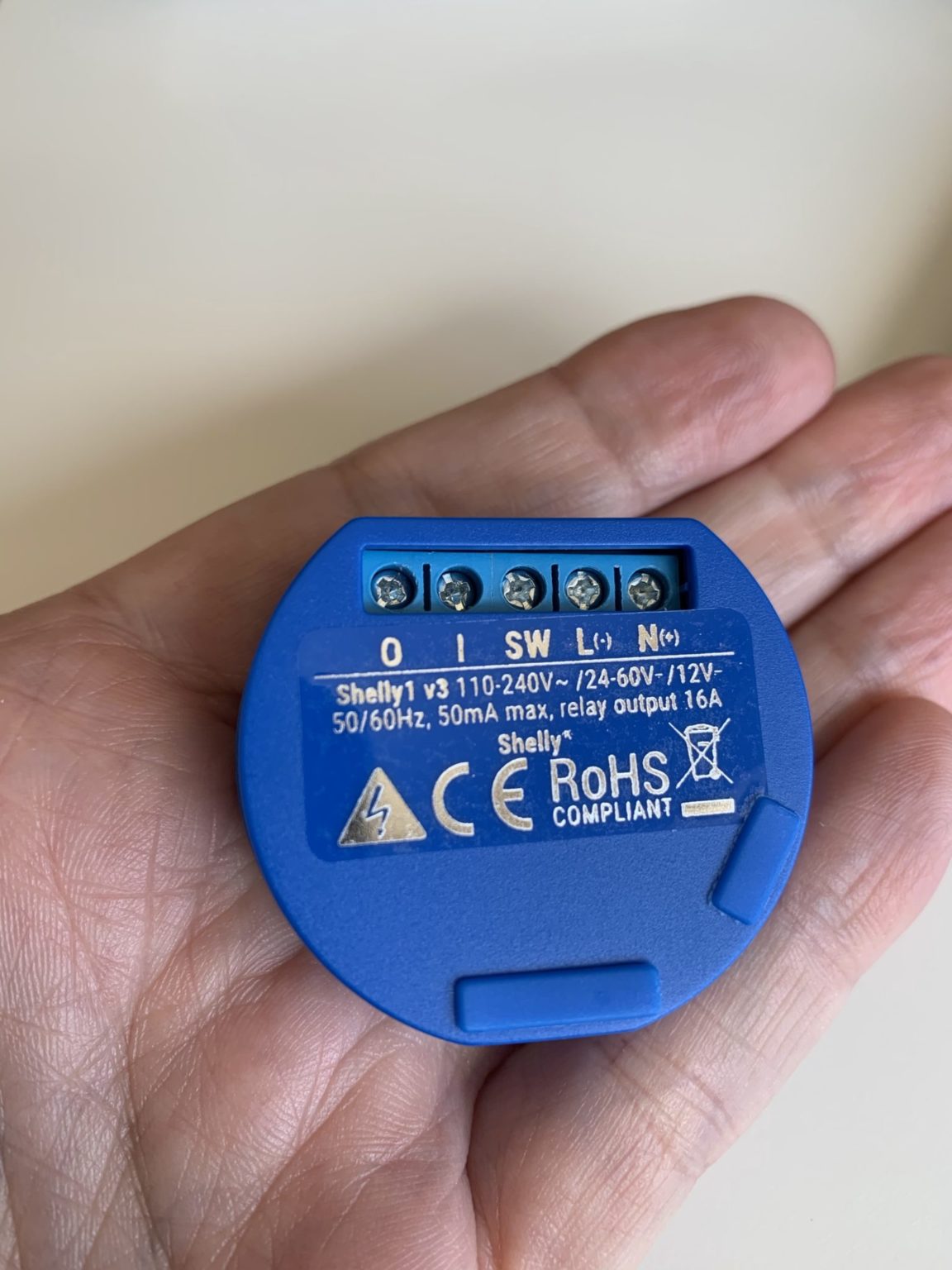 Flashear Shelly para HomeKit - Carlos Sahuquillo